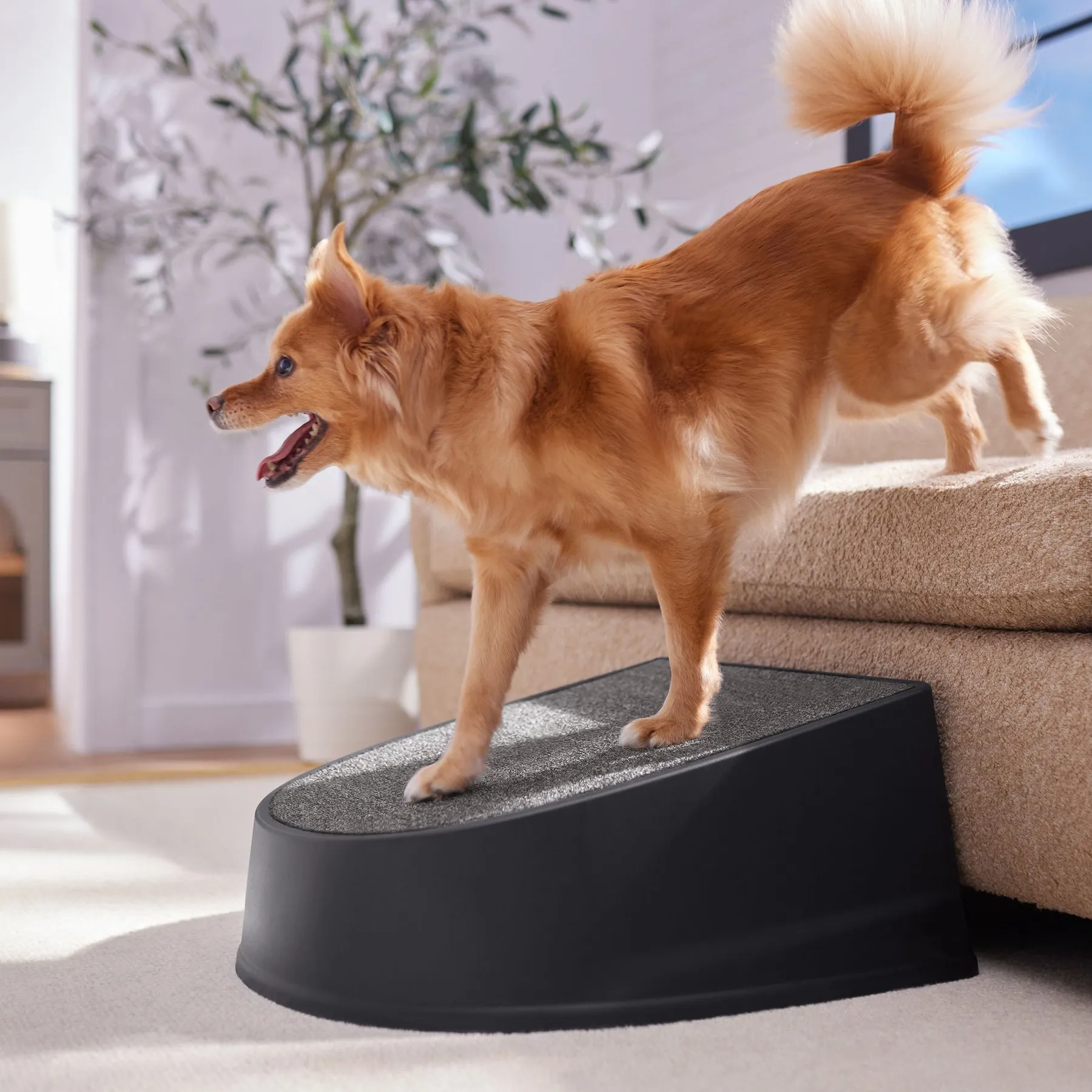 Easy Pet Stairs - Two Step Cat & Dog Ladder for Small & Aging Pets ...