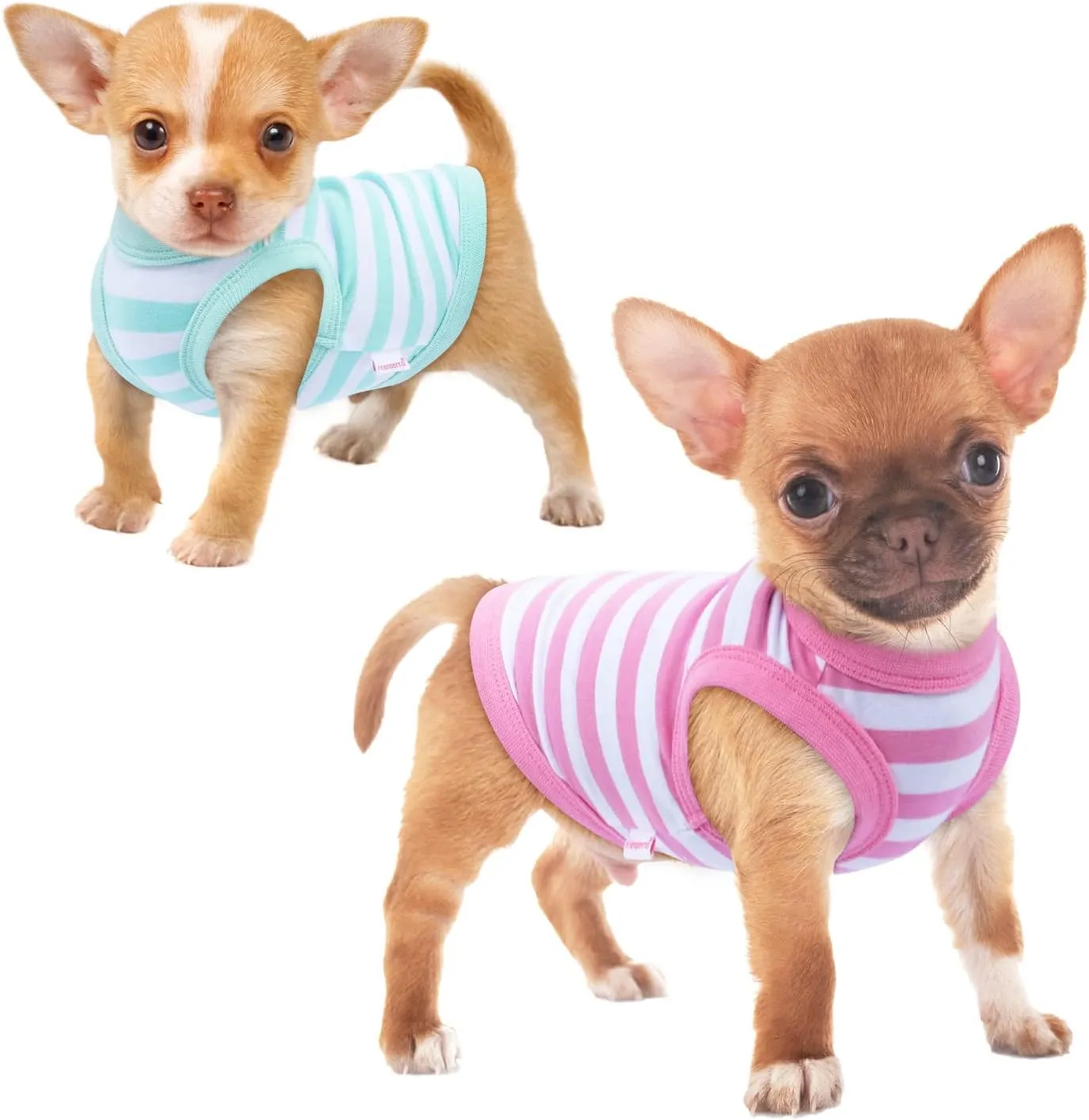 Striped Dog Clothes 2-Pack: Breathable Cotton for Small Dogs & Puppies ...