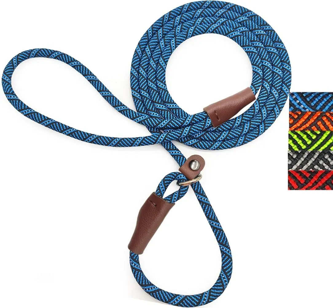 5 Foot Dog Leash - Premium Blue Slip Knot Dog Leash for Small & Medium ...