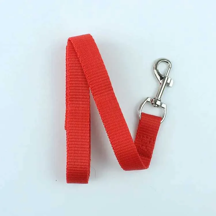 Cute Dog Leashes & Collars for Small Breeds: Strong Nylon Leads for ...