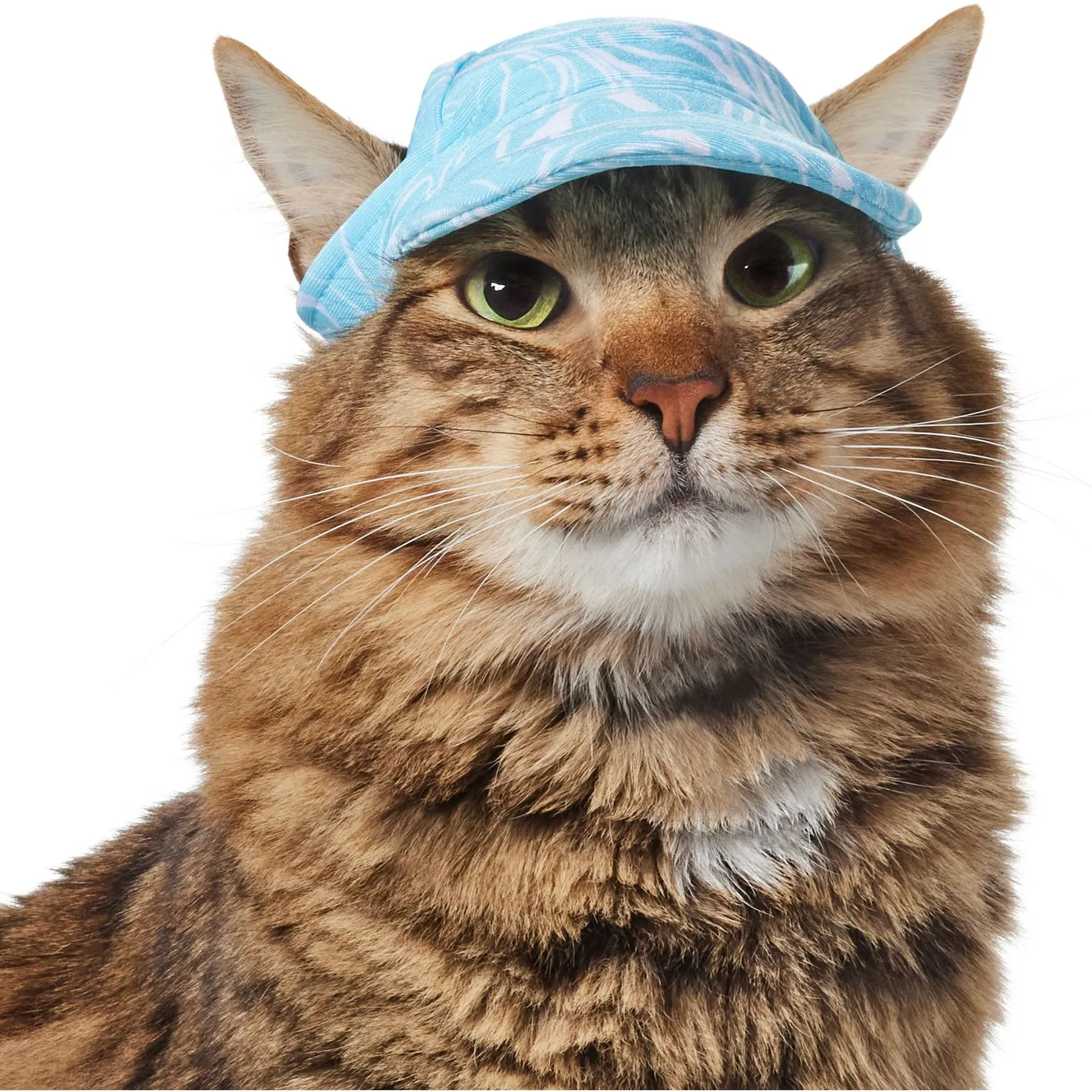 Frisco Blue Ocean Waves 30 + UPF Dog & Cat Beach Cap From Dhbeauty001 ...