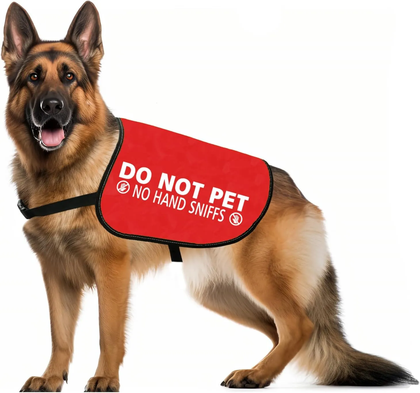 Anxious Dog Vest: Do Not Pet Patch Included! Premium Quality, Shop Now ...