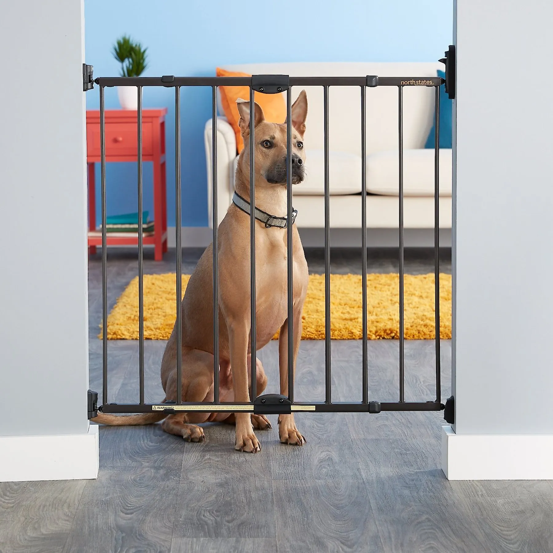 Walk Thru Pet Gate: Indoor & Exterior Animal Gates, Swinging Design ...