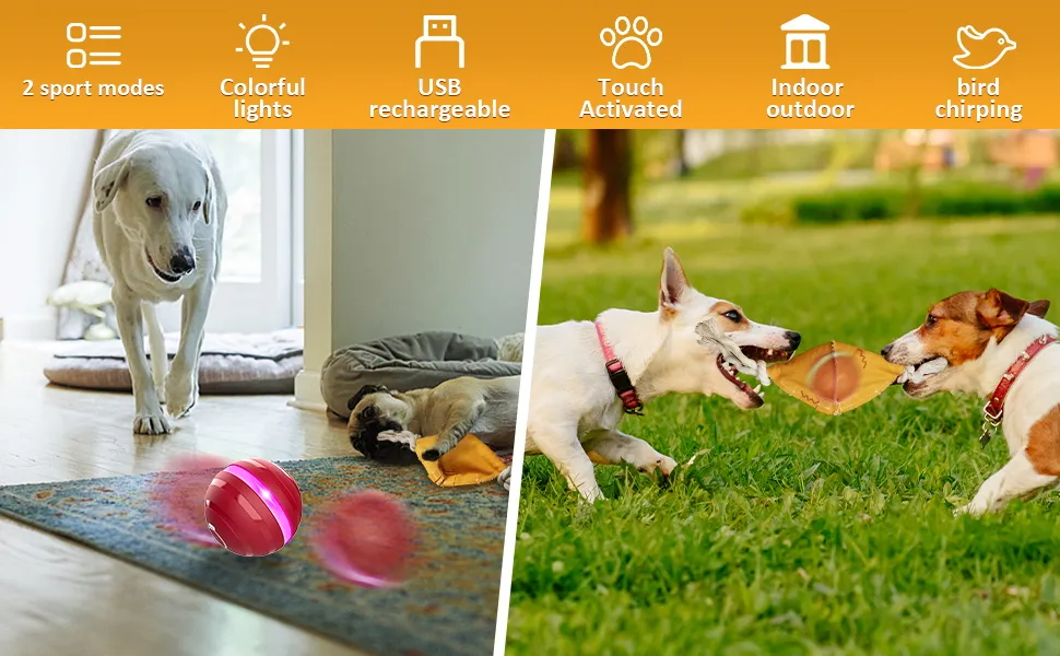 DHgate.com:Interactive Motion-Activated Dog Ball Toy with Squeak ...