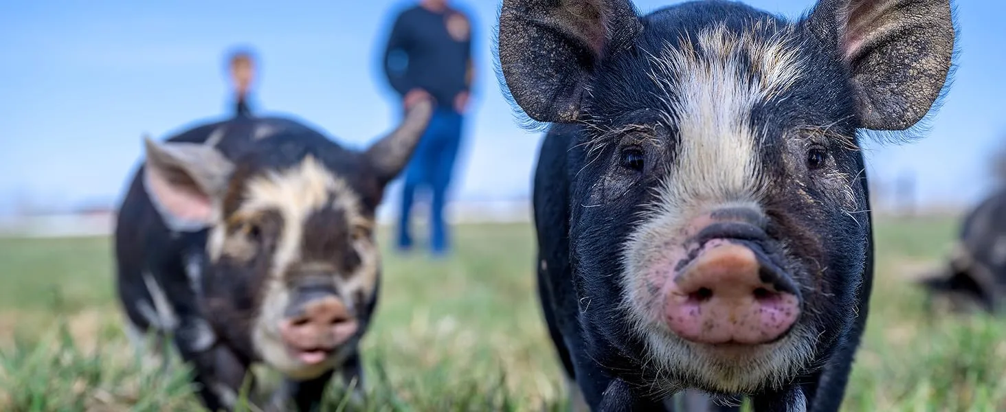 Mini Pig Harness & Leash: Escape-Proof Adjustable Rope, All Life Stages ...