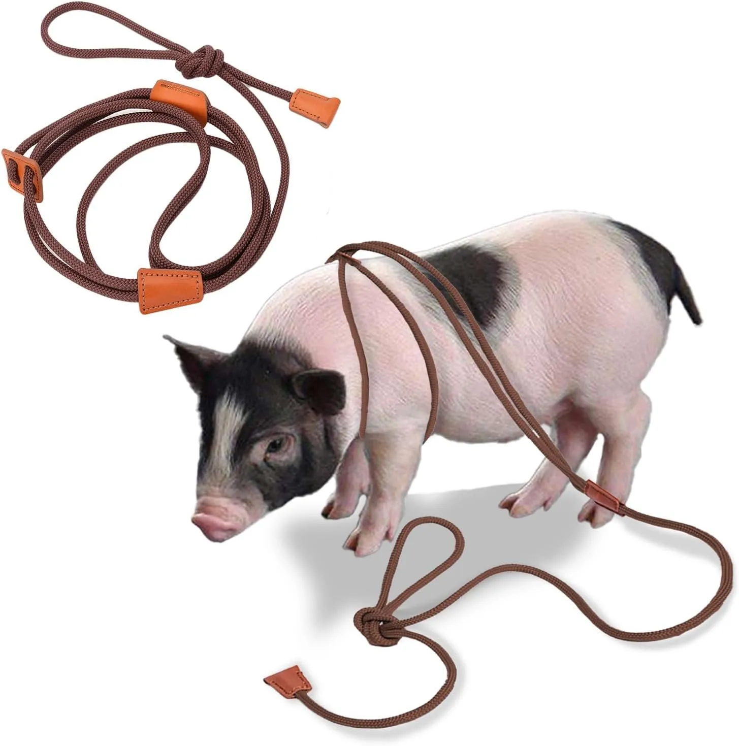 Mini Pig Harness & Leash: Escape-Proof Adjustable Rope, All Life Stages ...