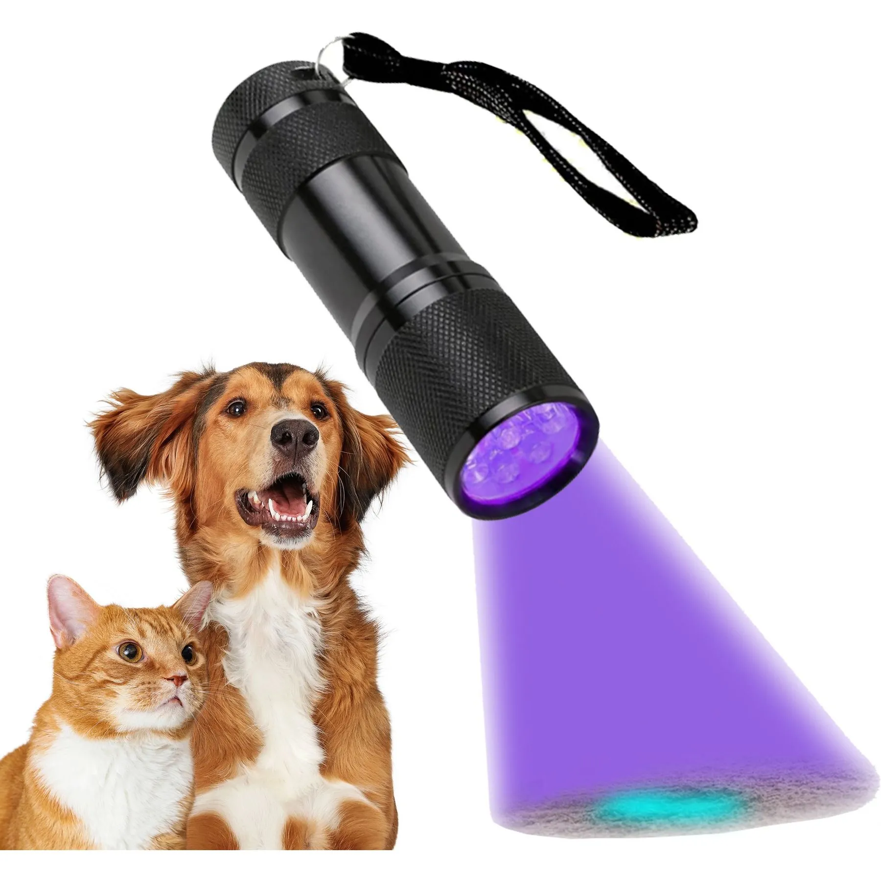 Pet Urine Detector UV Blacklight Flashlight - Find & Clean Accidents ...
