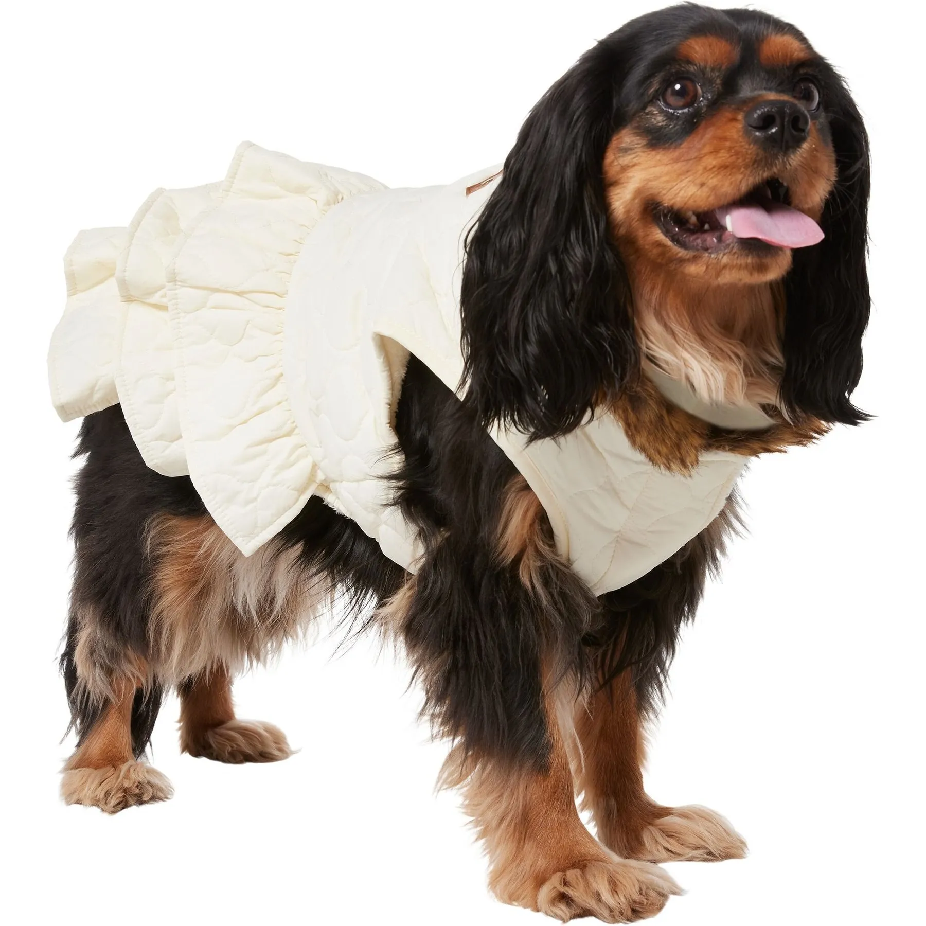Frisco Medium Weight Quilted Ruffle Tiered Dog and Cat Dress for Small ...