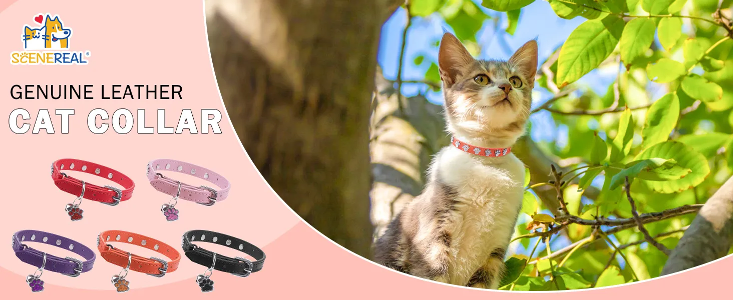 Leather Cat Collar with Paw Studs & Bell - Adjustable for Kittens to ...