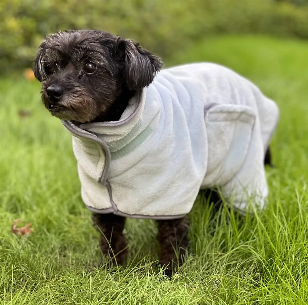 Premium Quick-Drying Dog Robe: Super Absorbent Microfiber Pet Towel for ...