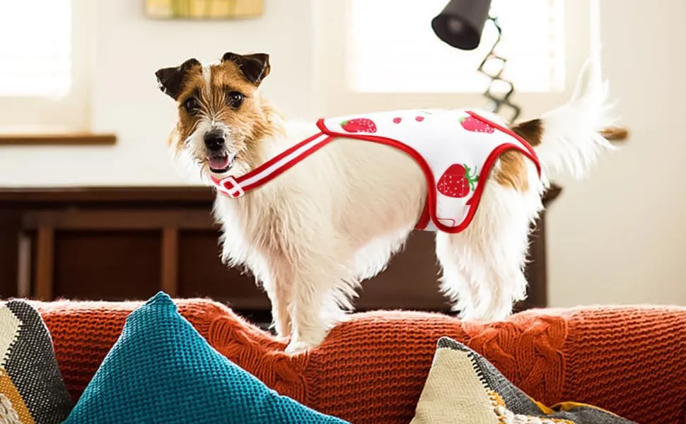 Dog Diaper Suspenders Washable, Reusable Escape Proof Dog Heat Diapers ...