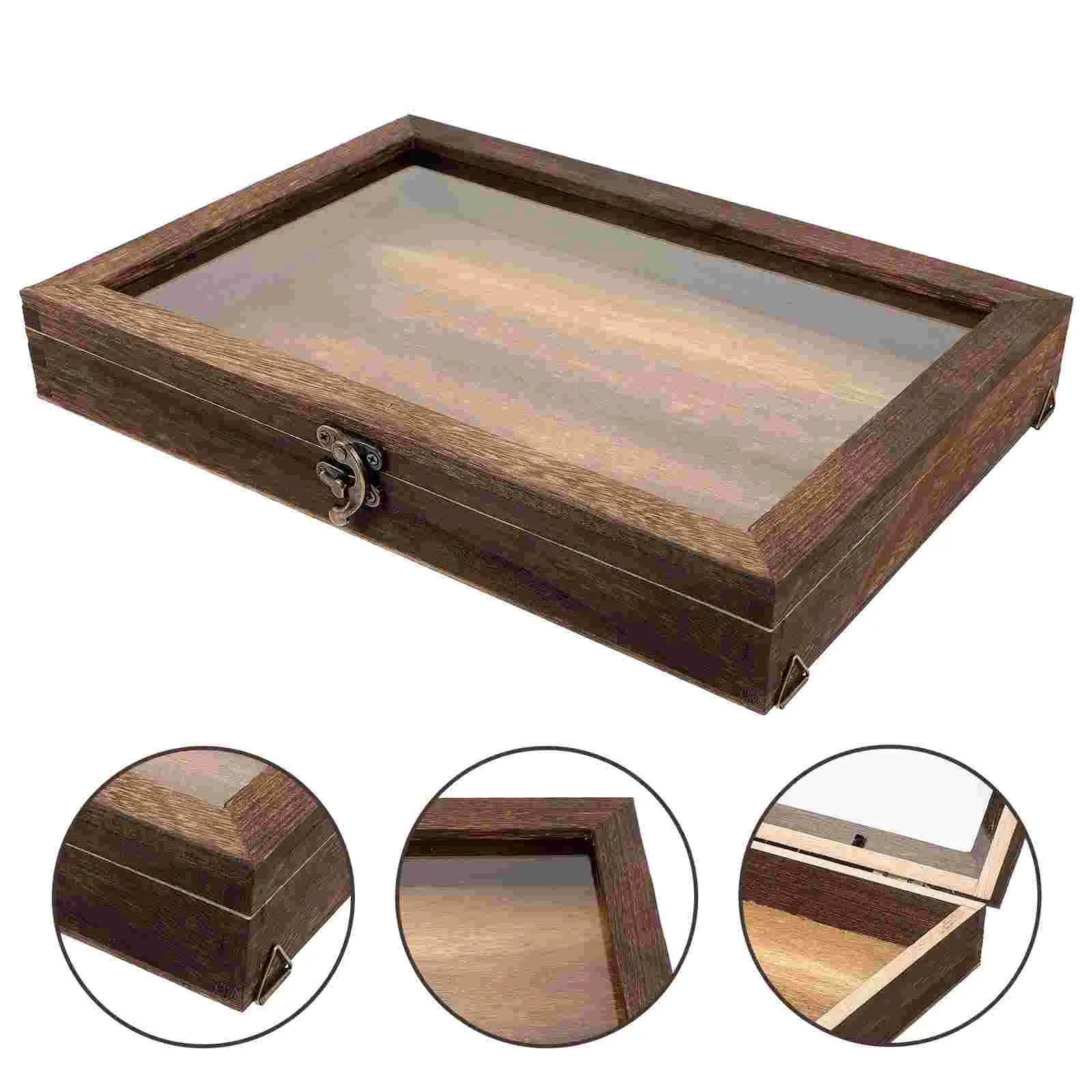 Frame Artwork Wood Display Stand Insect Showcase Butterflies Specimen ...