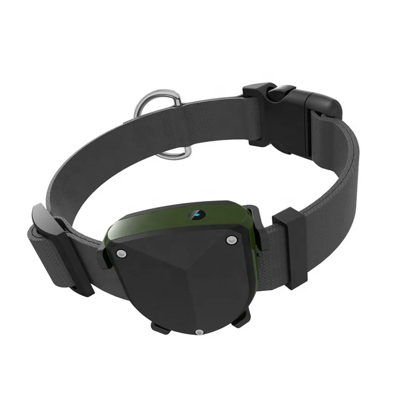 DHgate.com:IP67 Waterproof GPS Pet Tracker for Cats & Dogs - Long ...