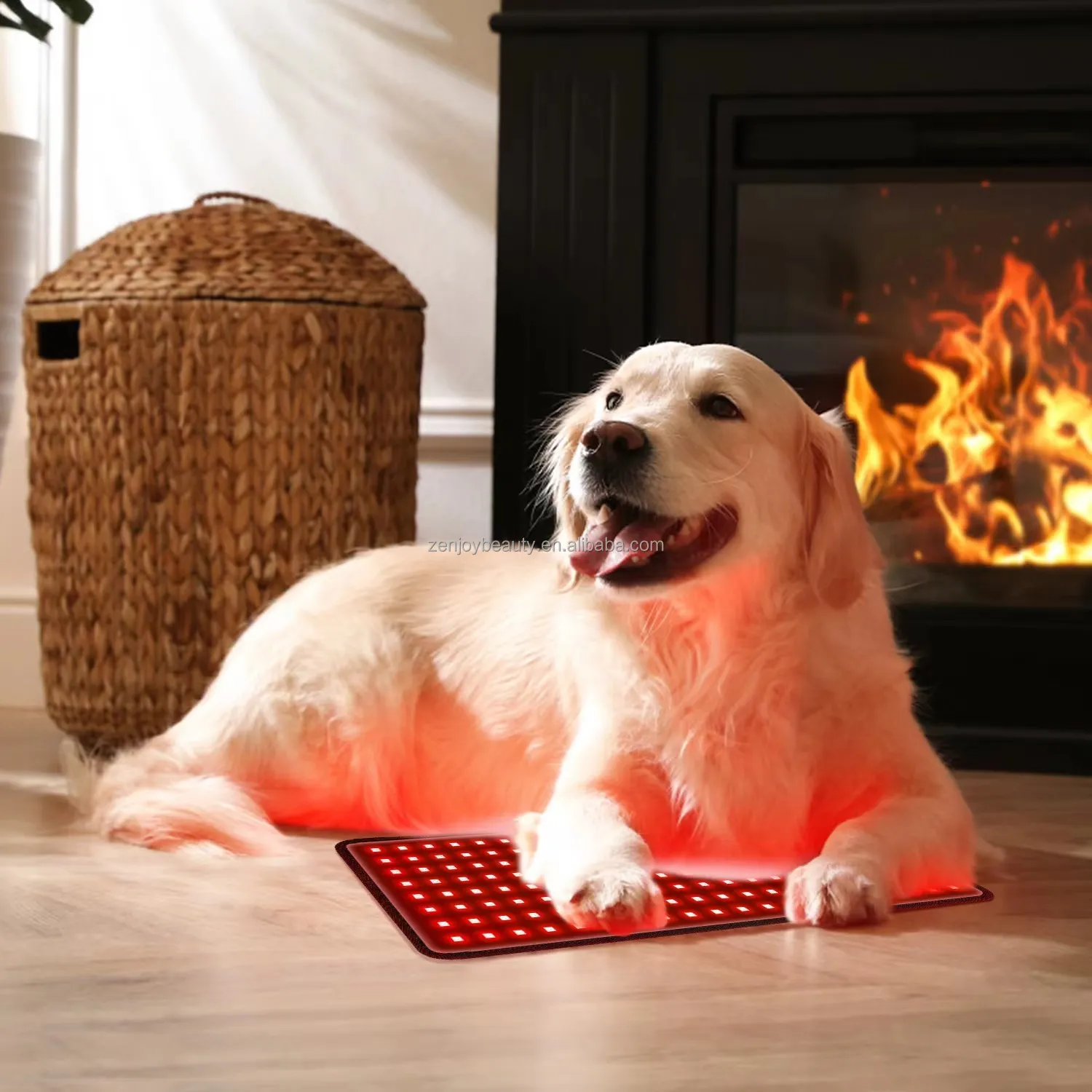 Red Light Therapy Mat for Dogs - 660nm & 850nm Infrared LED Pain Relief ...