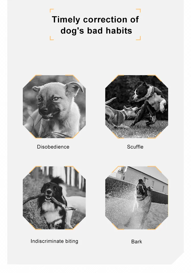 Waterproof Dog Bark Control Collar with Color Screen - Stop Barking ...