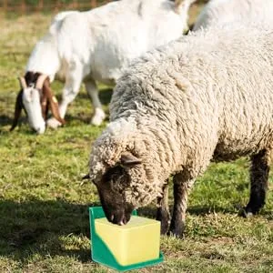 Durable Salt Block Holder for Cattle & Animals - Premium Salt Bricks ...