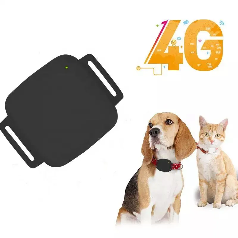 Waterproof Pet GPS Tracker with WiFi & High Precision for Dogs and Cats ...