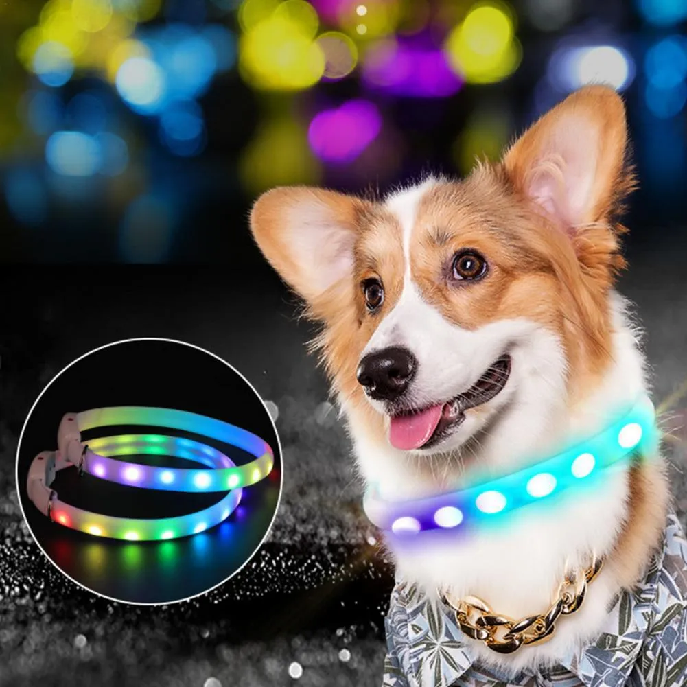 USB Rechargeable LED Dog Collar with Multi-Color Flashing Lights - Safe ...