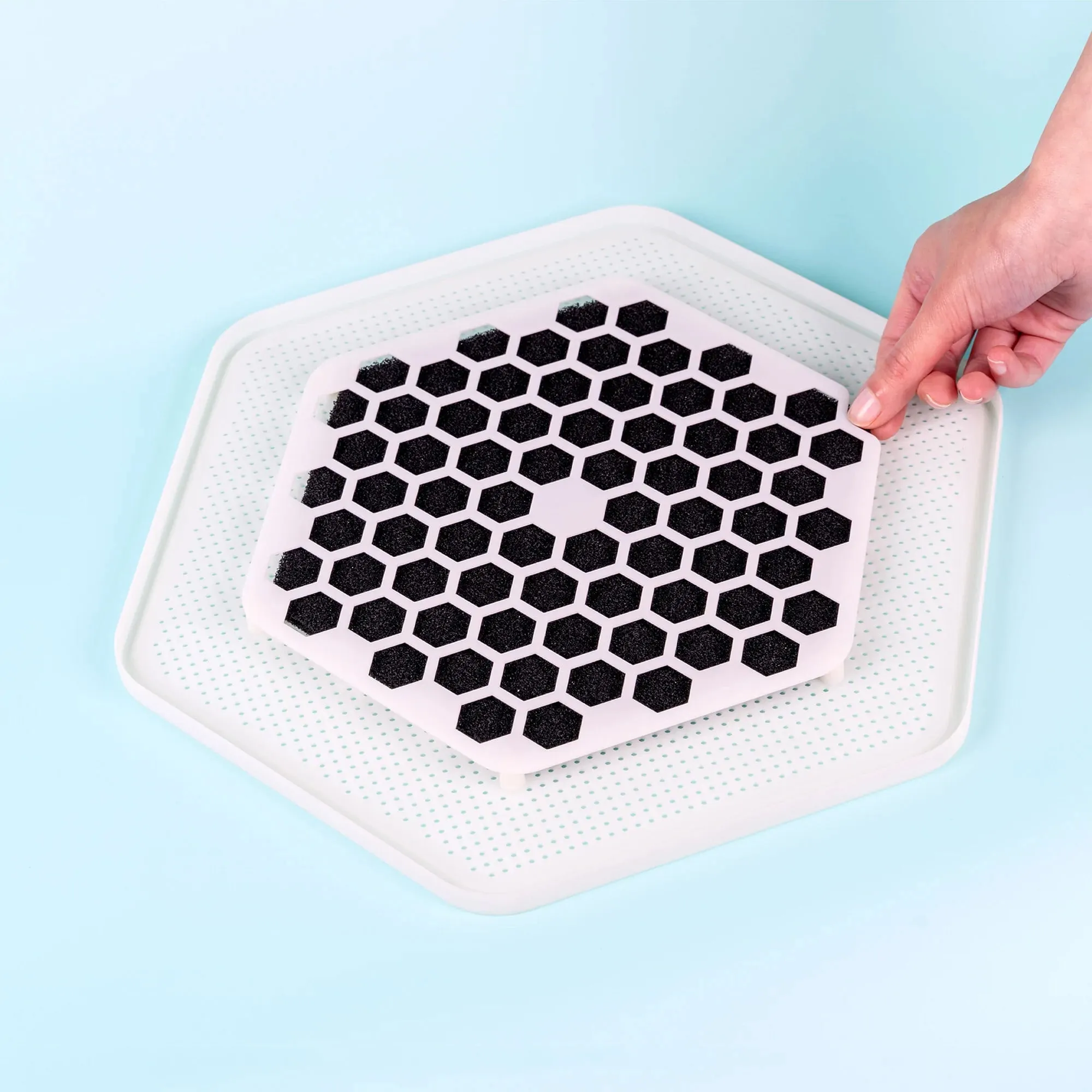 Giant Mealworm Farm Starter Kit: Breeding & Growing Pod For Pets From ...