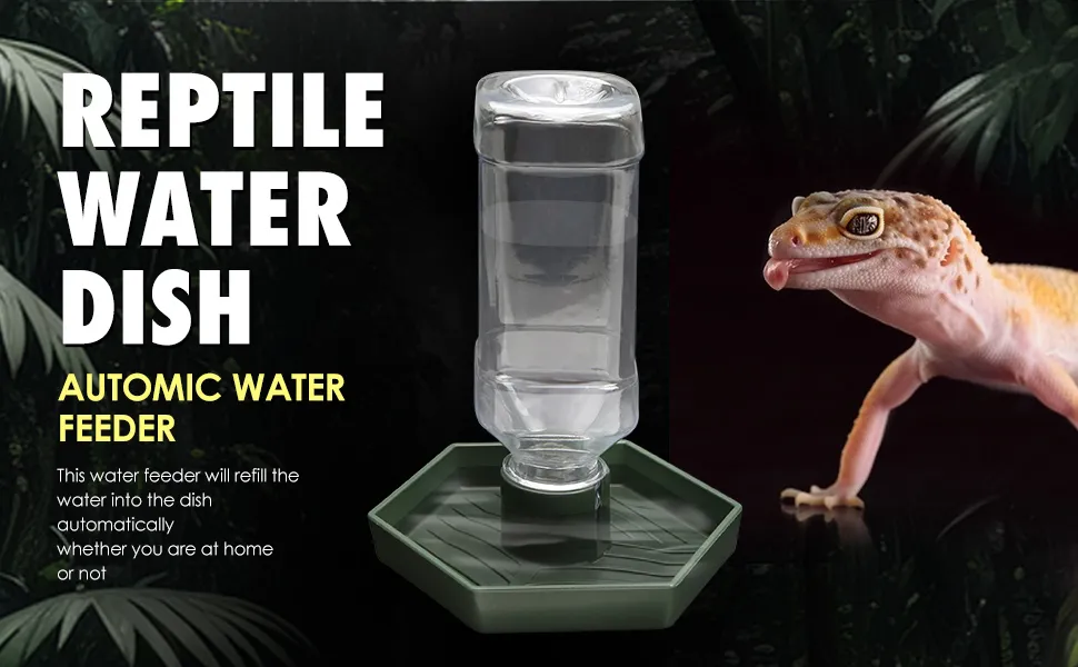 Small Reptile Water Dish - 7.5oz 250ml - Ideal Lizard Water Bowl ...