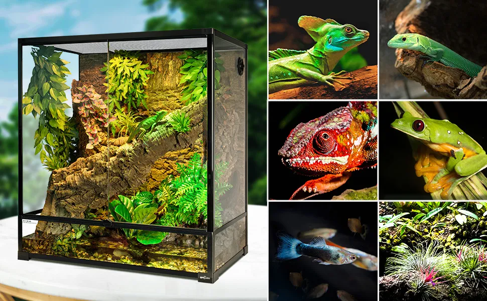 REPTI ZOO Large Tall Glass Reptile Terrarium 36 × 18 × 36 in, 100 ...