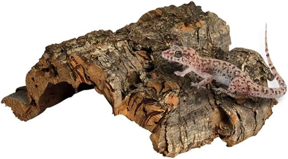 Small Reptile Hideaway Bark Bend - Perfect Habitat Decor for Lizards ...