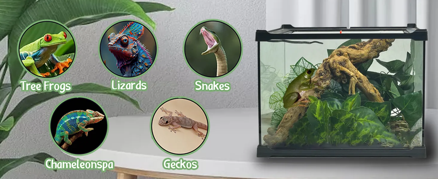 DHgate.com:Natural Reptile Branch Decor - 2 Pack, Climbing Wood ...