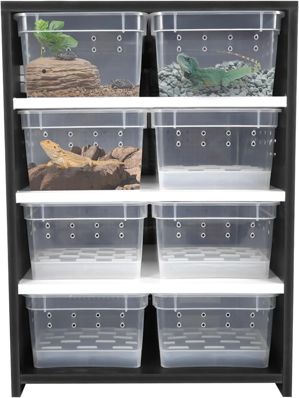 DHgate.com:Reptile Breeding Cabinet with Hygrometer - 8-Piece ...