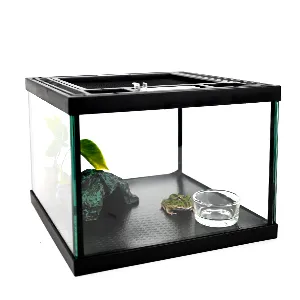 DHgate.com:Glass Reptile Terrarium Starter Kit - 8x8x6 Inch Amphibian ...