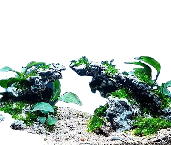 Red & Black Aquarium Rock: Two-Tone Landscaping Stone, Natural Colored ...