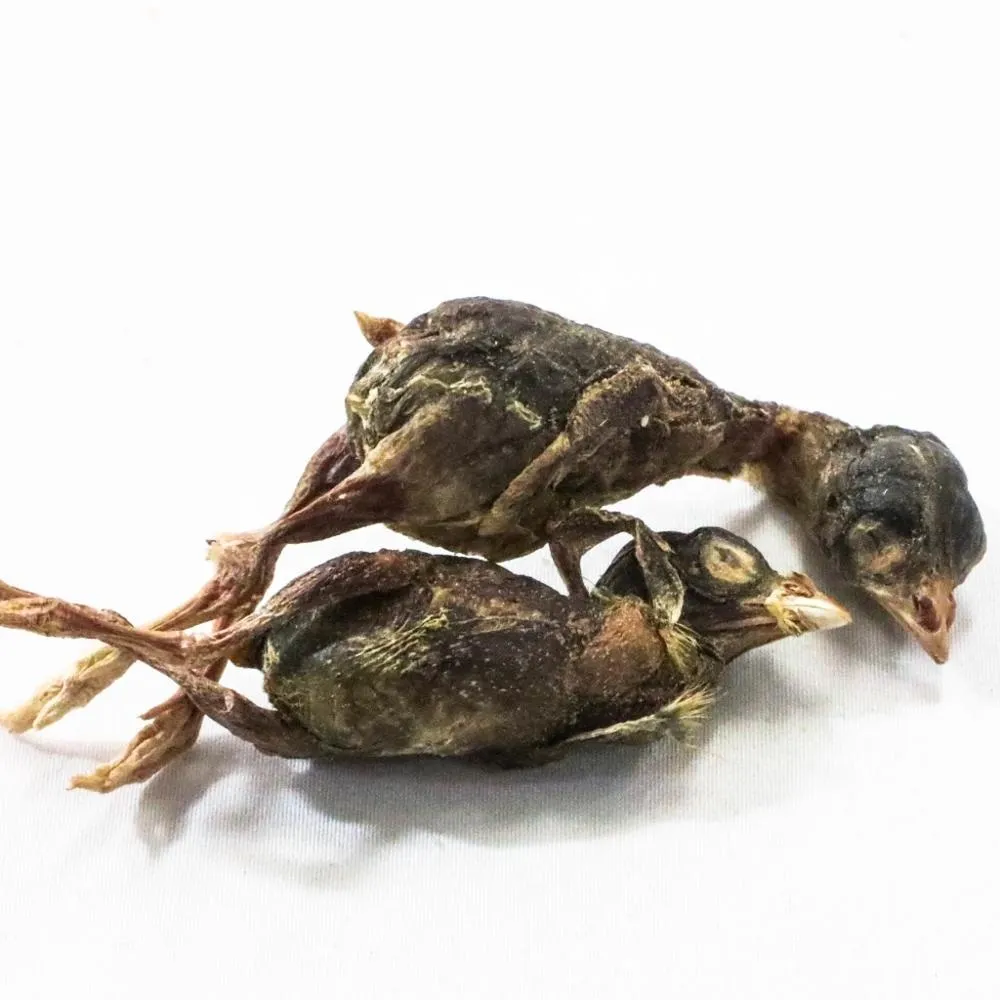 Freeze Dried Quail Pet Treats High Protein FD Meat Snacks For Dogs And ...