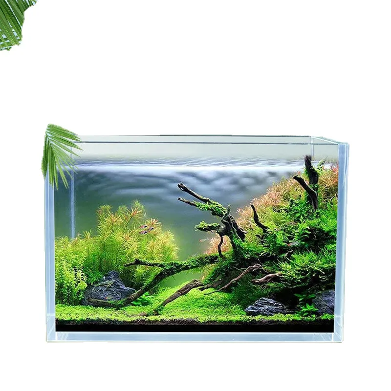 Small Aquarium With Light, 5 Gallon Glass Fish Aquarium: Mini Super ...