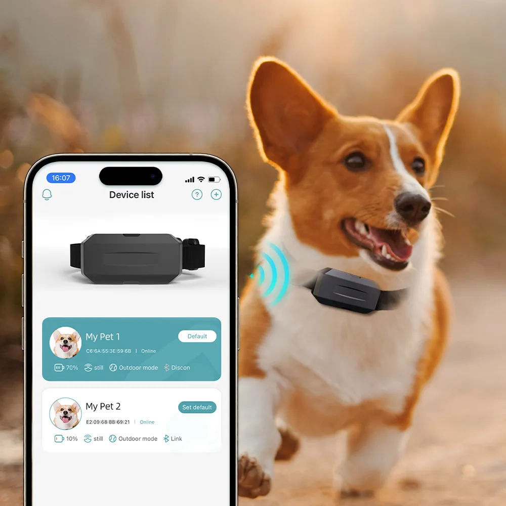 DHgate.com:Premium Pet Collar Tracking Device: Anti-Theft GPS Animal ...