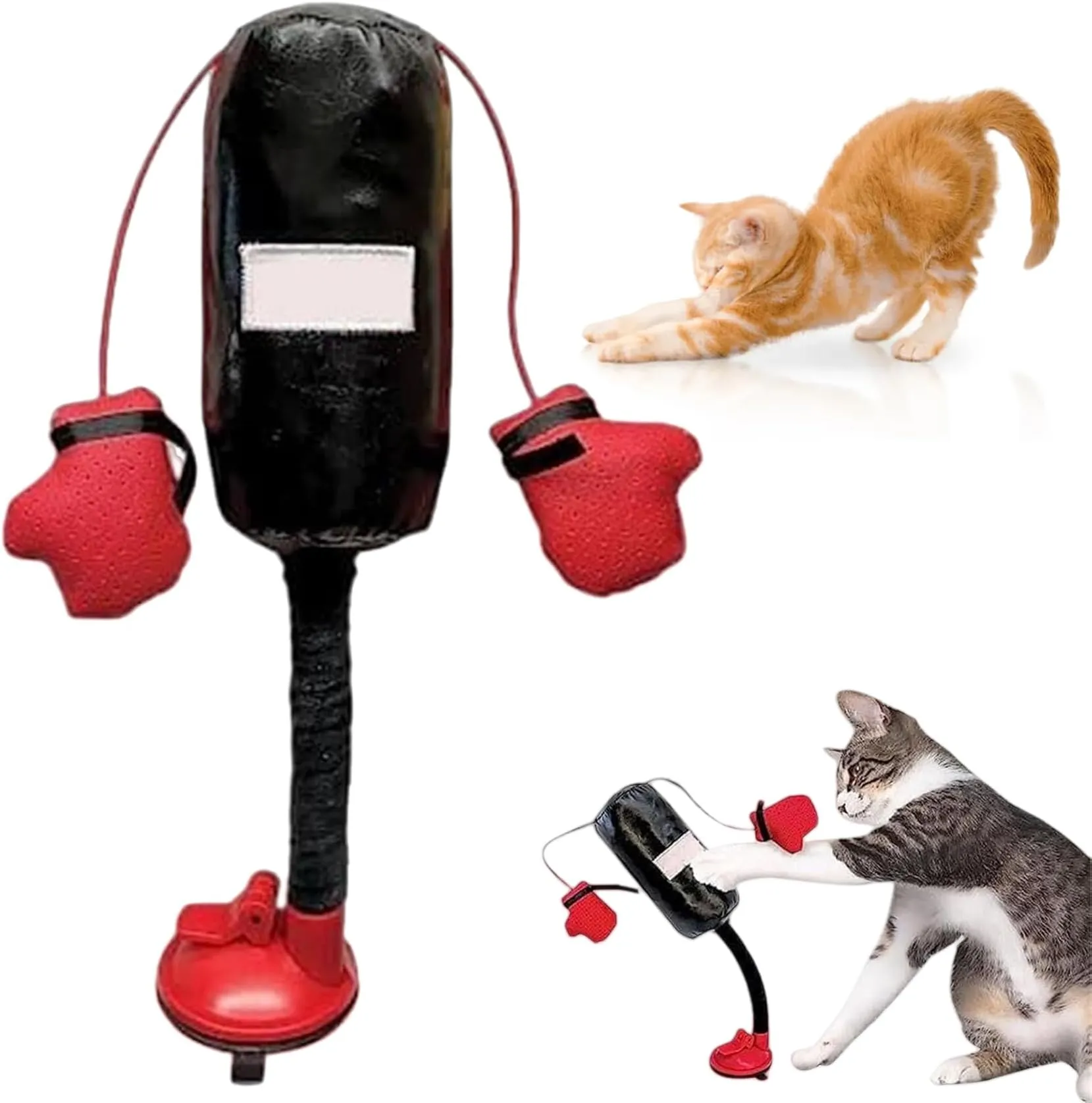 Interactive Cat Boxing Toy Set with Gloves - Fun Punching Bag for ...