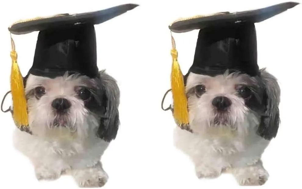 Pet Graduation Cap & Gown Set 2-Pack: Photo-Ready Puppy Graduation Hat ...