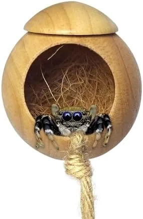 Natural Wood Spider Hide: Handmade Habitat with Suction Cup - Best ...