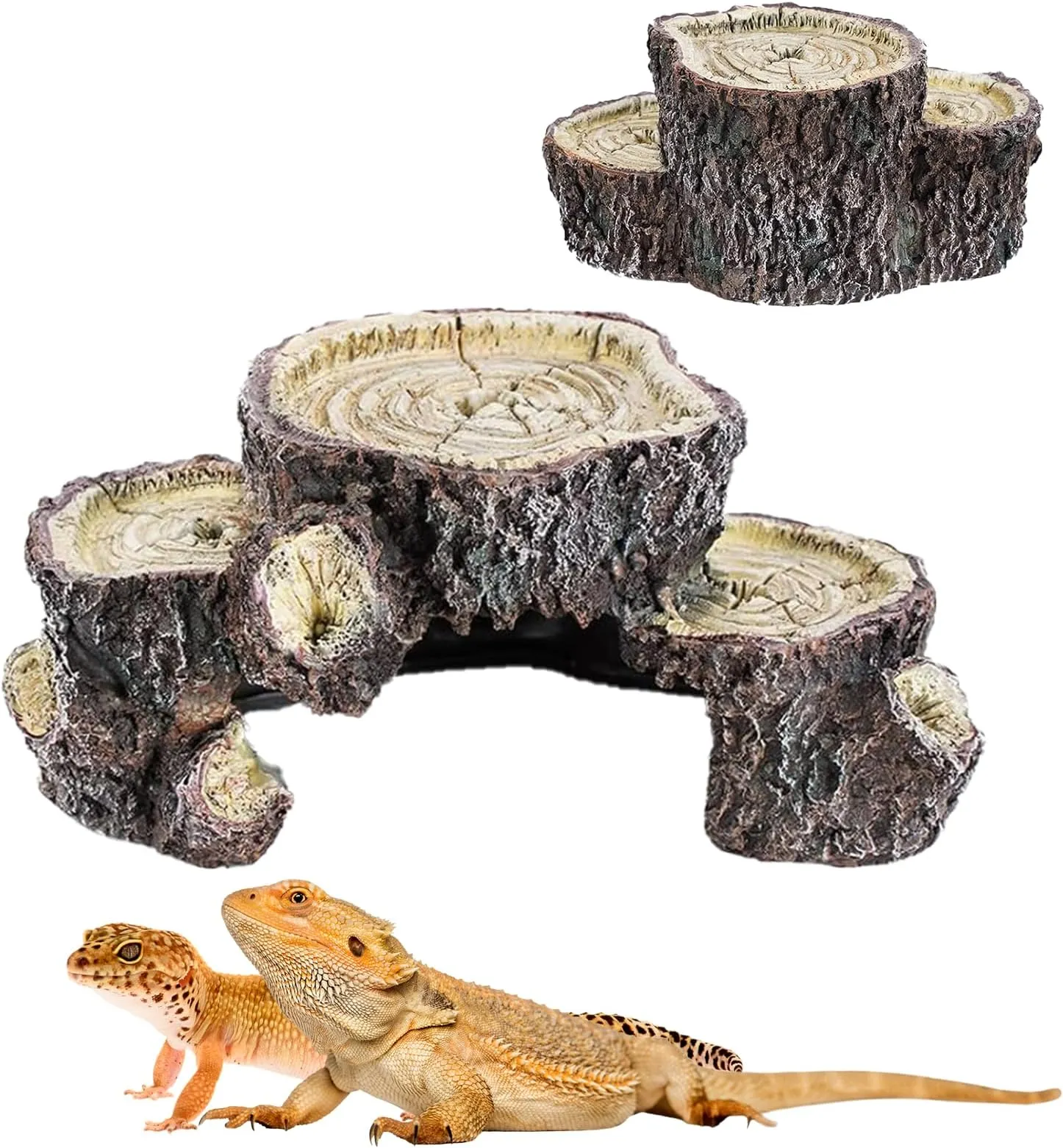 Reptile Hideaway - Natural Burrow, Perfect Habitat for Lizards, Snakes ...