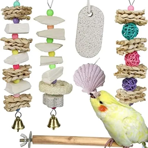 Bird Beak Trimming Toys Set : Natural Chew Toys for Parakeets ...