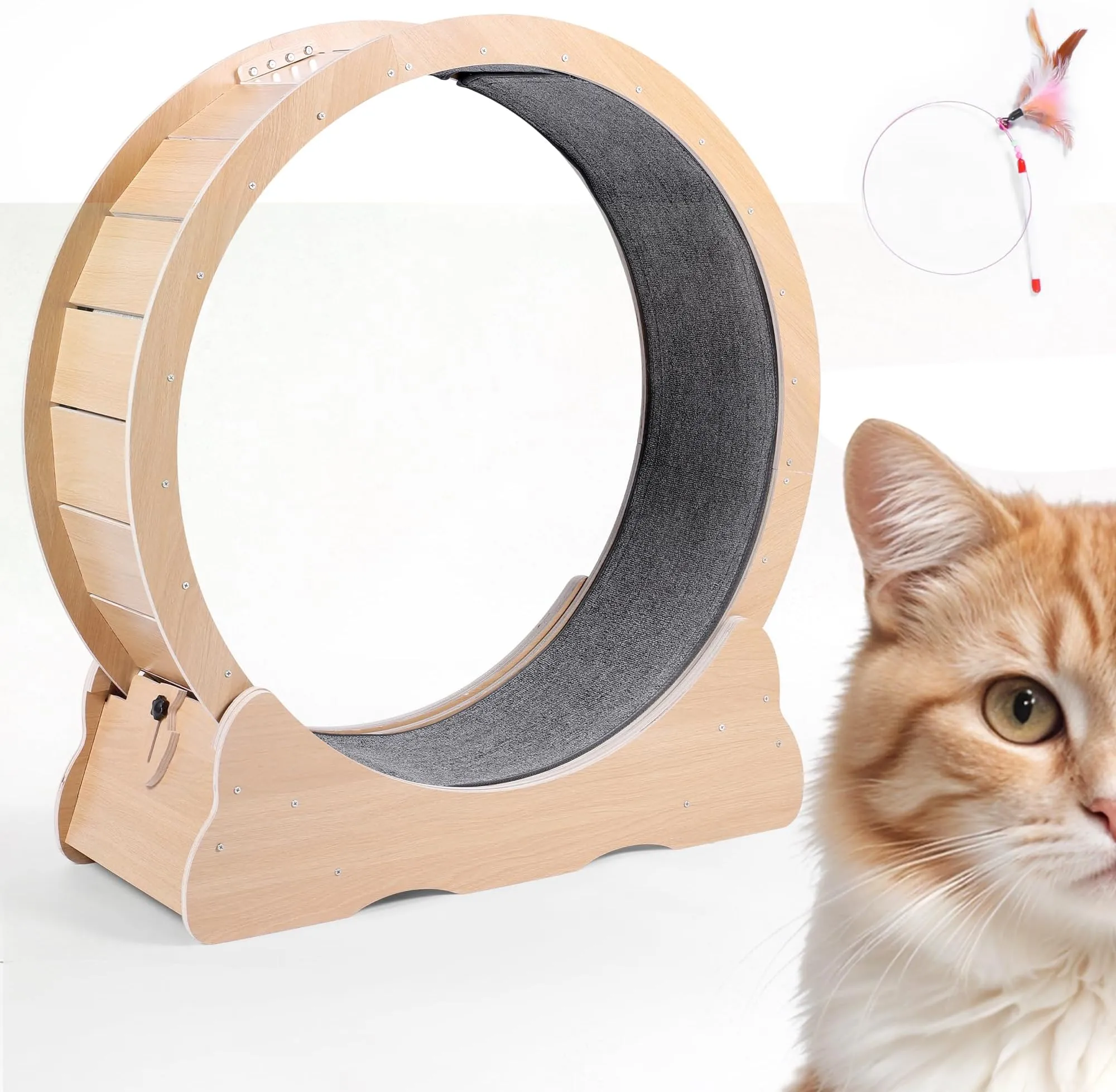 Quiet Cat Exercise Wheel - Indoor Treadmill for Active Cats! Safe & Fun ...