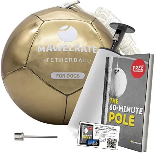 Durable Tetherball Dog Toy: Strong Rope Ball for Hours of Outdoor Fun ...