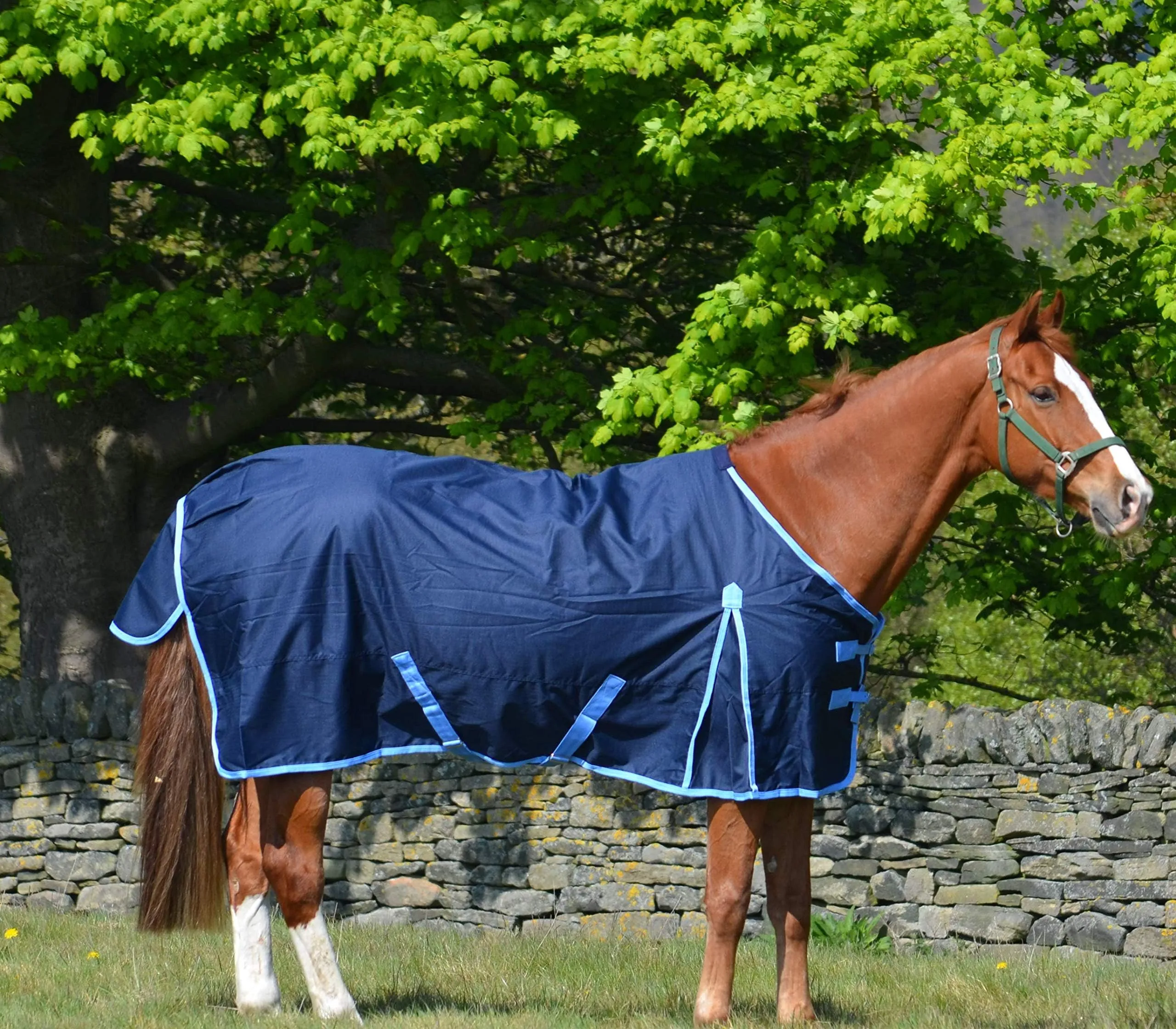 DHgate.com:Navy Medium Weight Waterproof Horse Turnout Rug with 200g ...