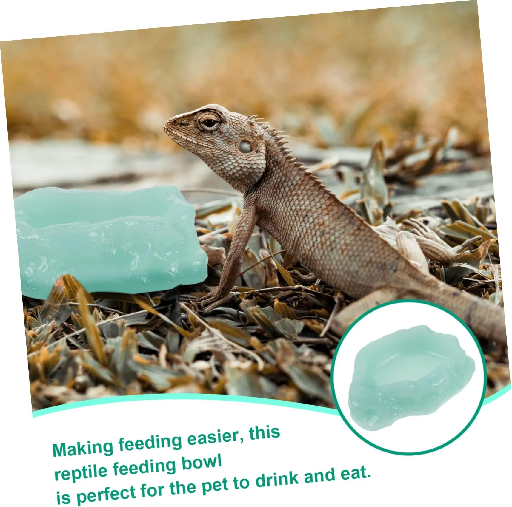 Reptile Water Dish Food Dish With Bottle, Prevent Drowning Water