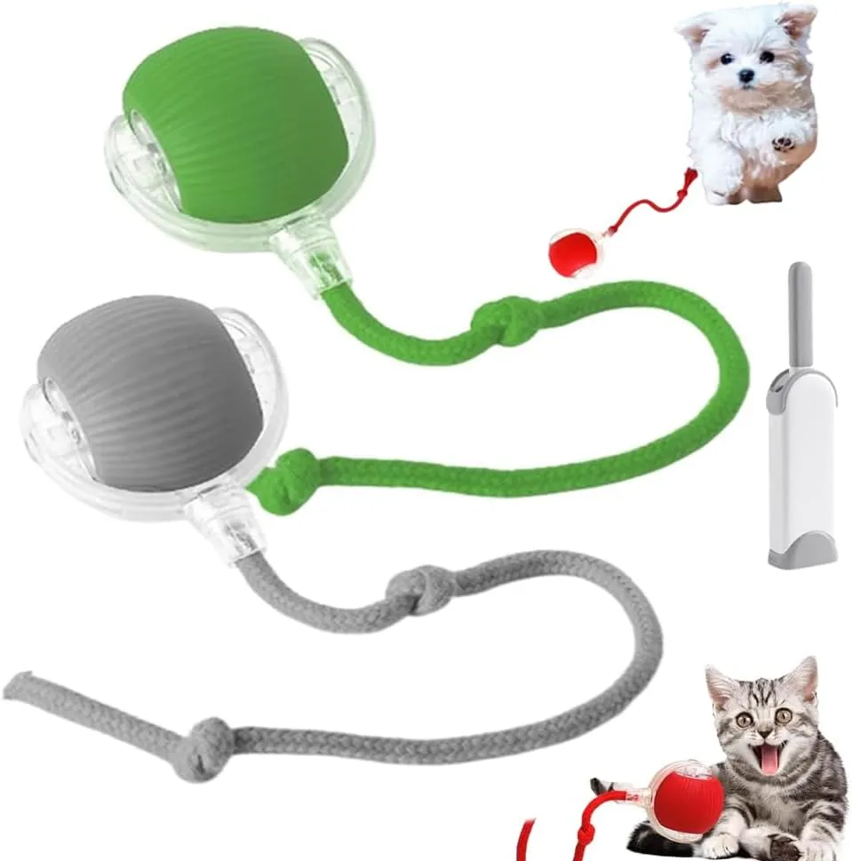 Interactive Rolling Pet Ball: Automatic 360° Motion, Engaging Cat & Dog ...