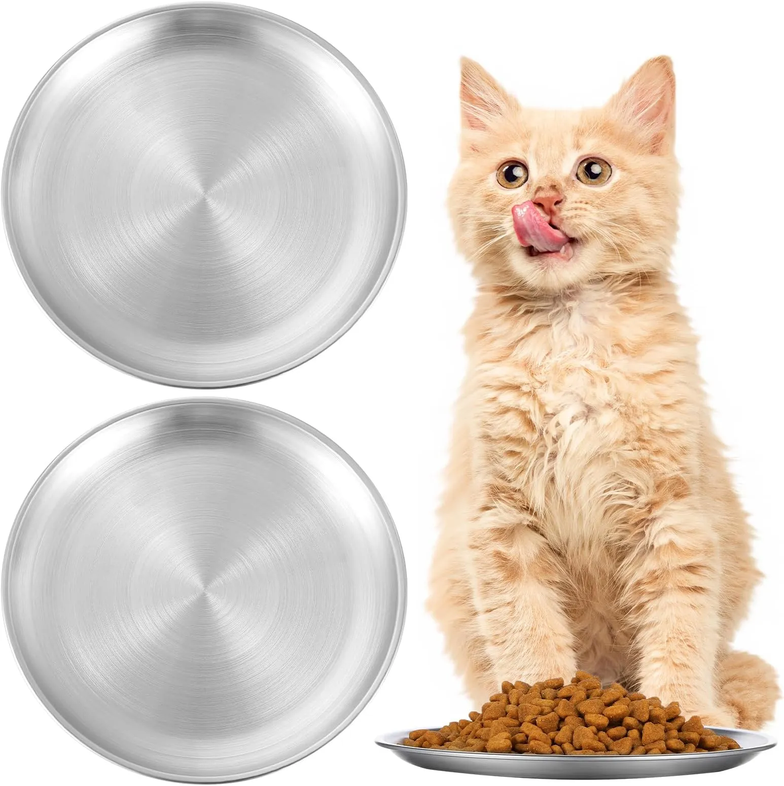 Shallow Metal Cat Food Bowls 2-Pack - Whisker Fatigue Relief, Stainless ...