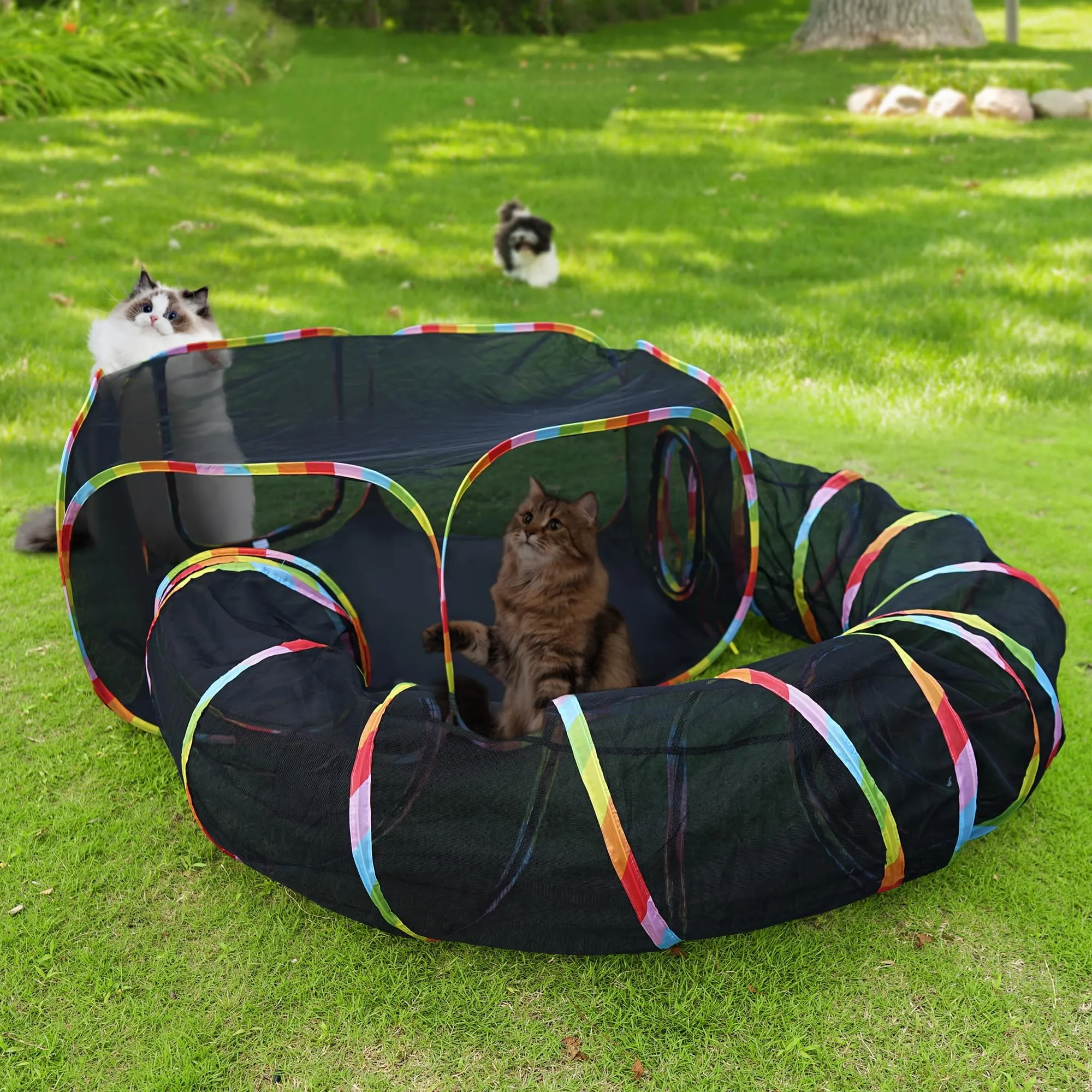 Rainbow Cat Cat Playpen Argos With Circle Tunnel Ideal For Outdoor ...