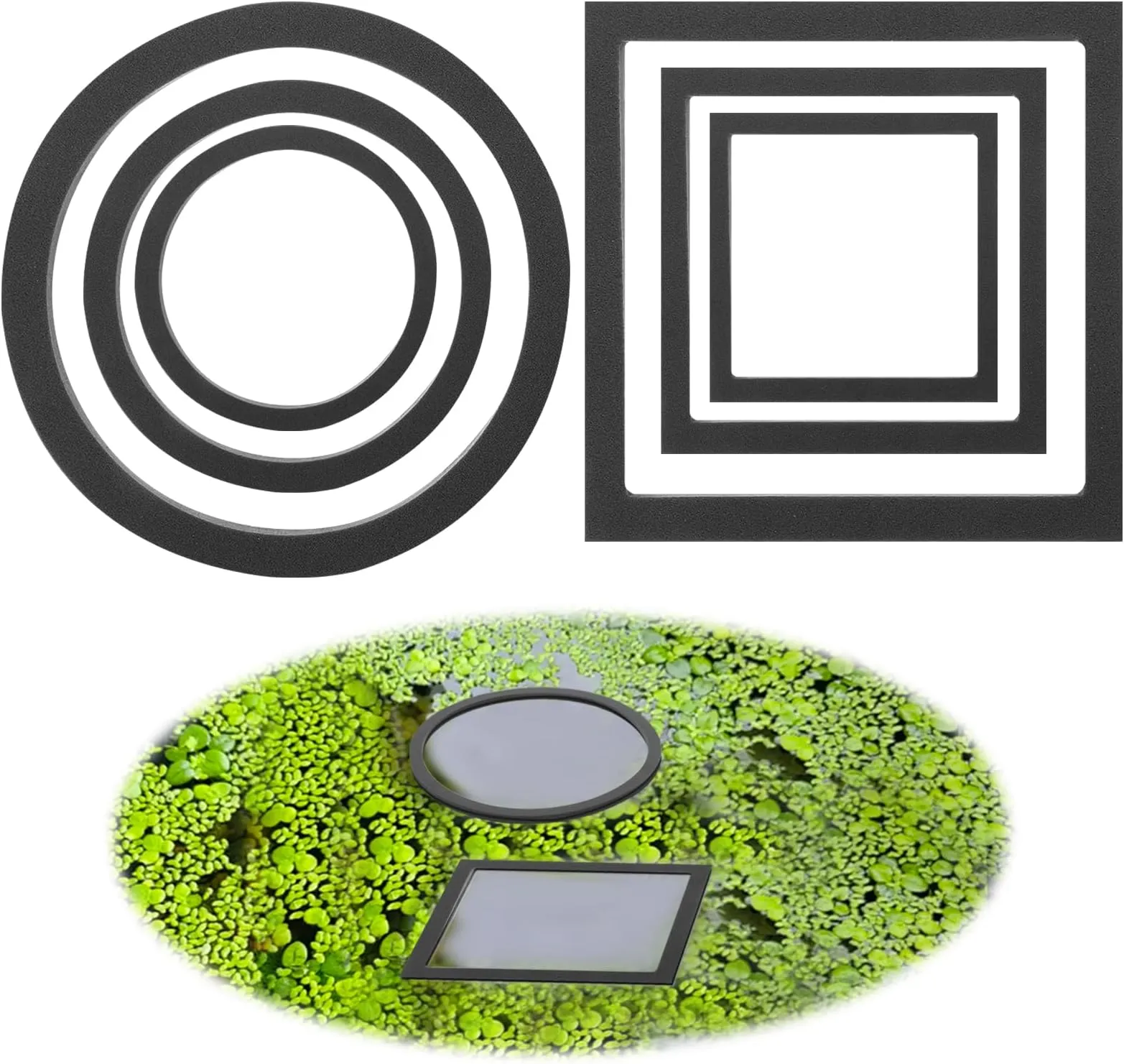 Floating Plant Rings for Aquarium - Round & Square Fish Feeding Corral ...