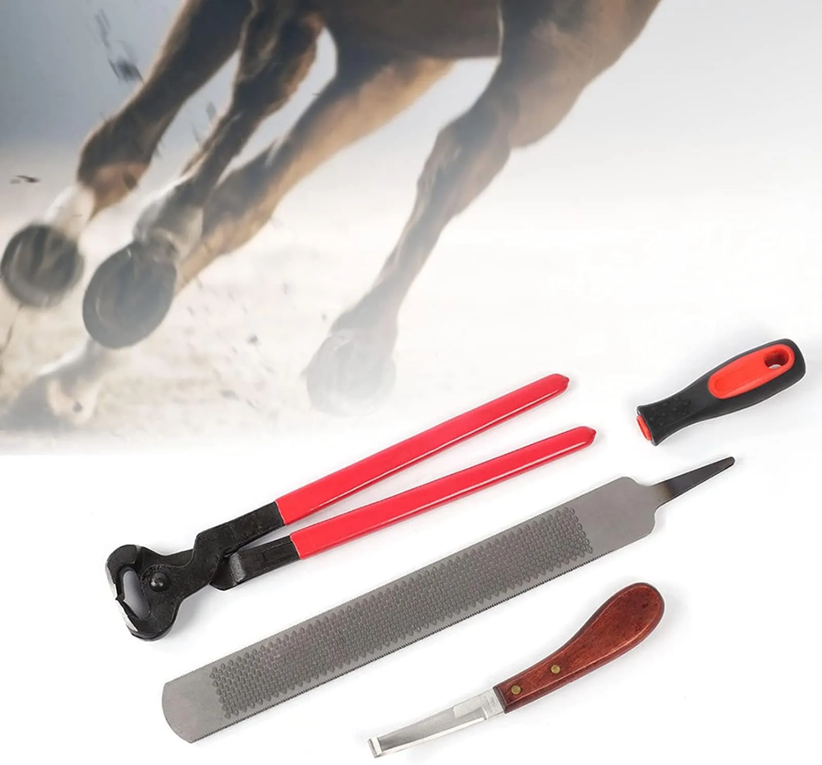 DHgate.com:Professional Farrier Hoof Trimming Set - Metal Rasp & Nipper ...