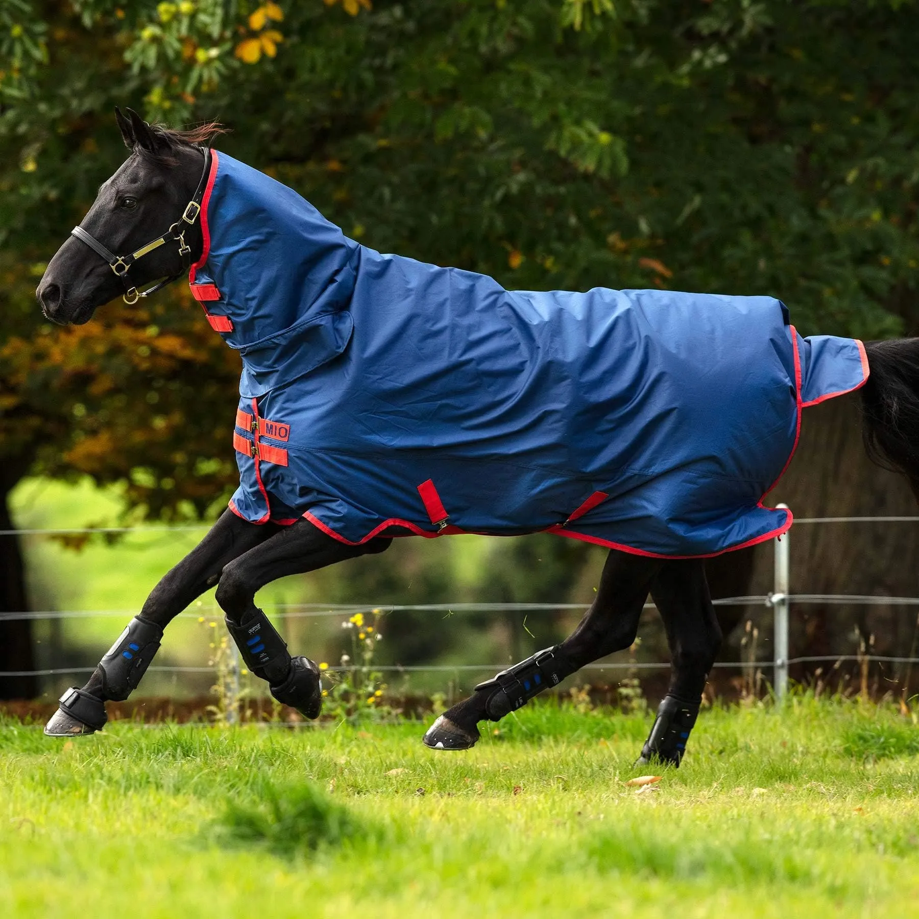 All-in-One Horse Turnout Sheet - Dark Blue & Red Stripes - Shop Now ...