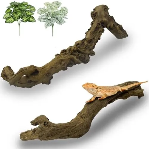 Reptile Branches - Natural Wood Terrarium Decor for Climbing, Hiding ...