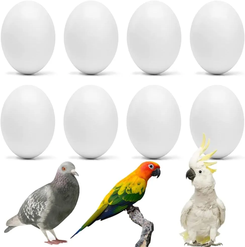 WOLEDOE Solid Plastic Parrot Fake Eggs for Medium and Large Parrots ...